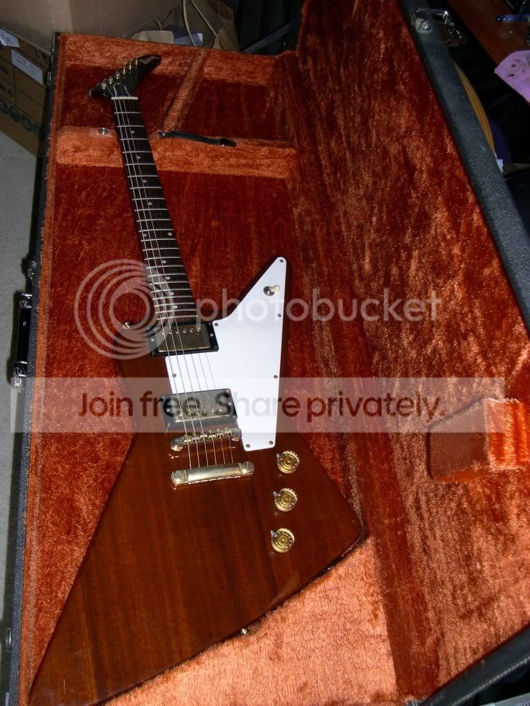 Burny Explorer | Tokai & Japanese Guitar Forum