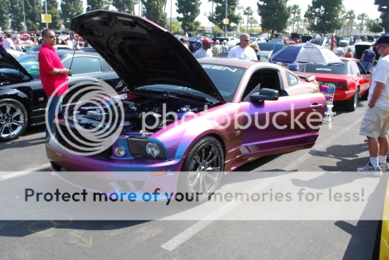 is this mustang real? extreme rainbow saleen? | Modded Mustang Forums