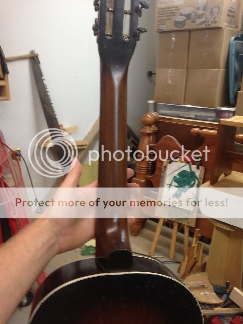 Has anyone done a shellac finish on a guitar? | The Canadian Guitar Forum