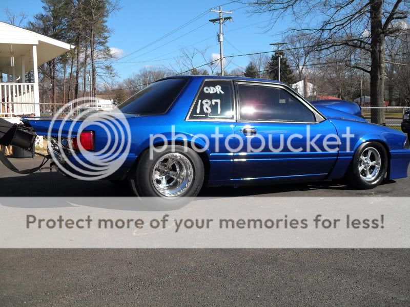 Ricky Fox New X275 car for 2012 | Page 2 | Yellow Bullet Forums