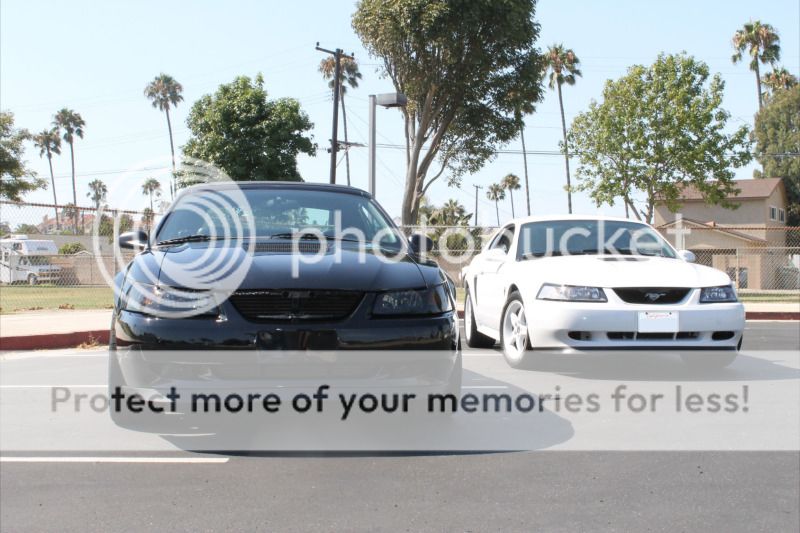 Upgraded Sig | Modded Mustang Forums