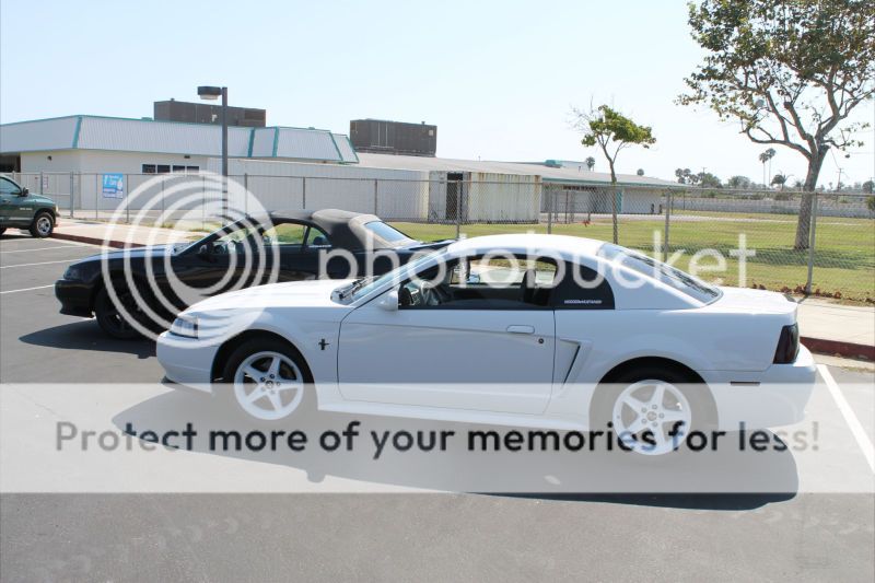 Upgraded Sig | Modded Mustang Forums