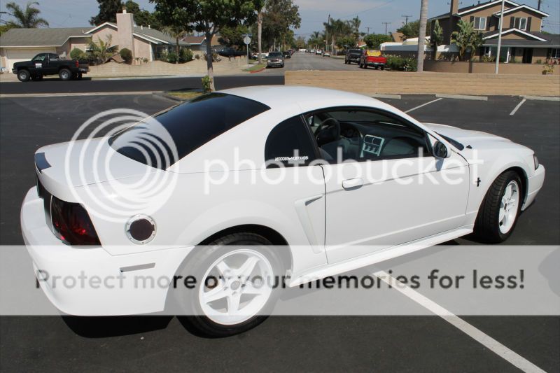 Upgraded Sig | Modded Mustang Forums