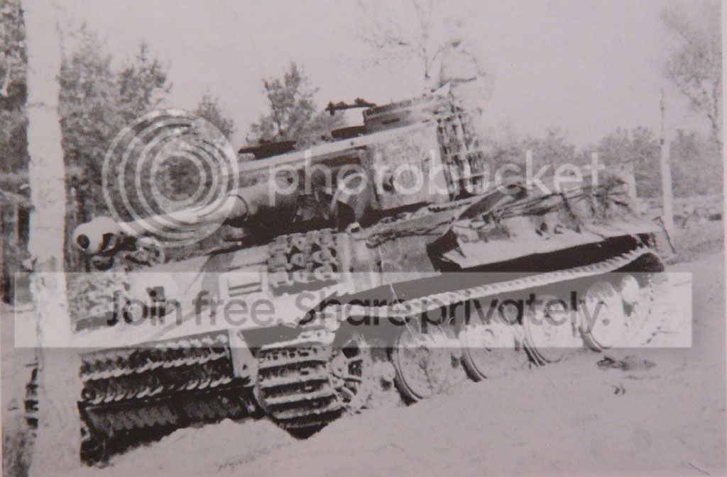 DML Tiger and variations - Armor - Finescale Modeler Forum