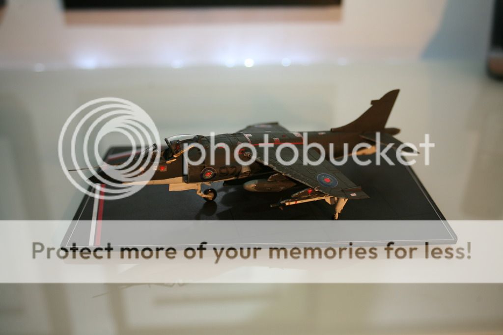 Sea Harrier 800 NAS, Lt Cdr 'Gordy' Batt - Ready for Inspection ...