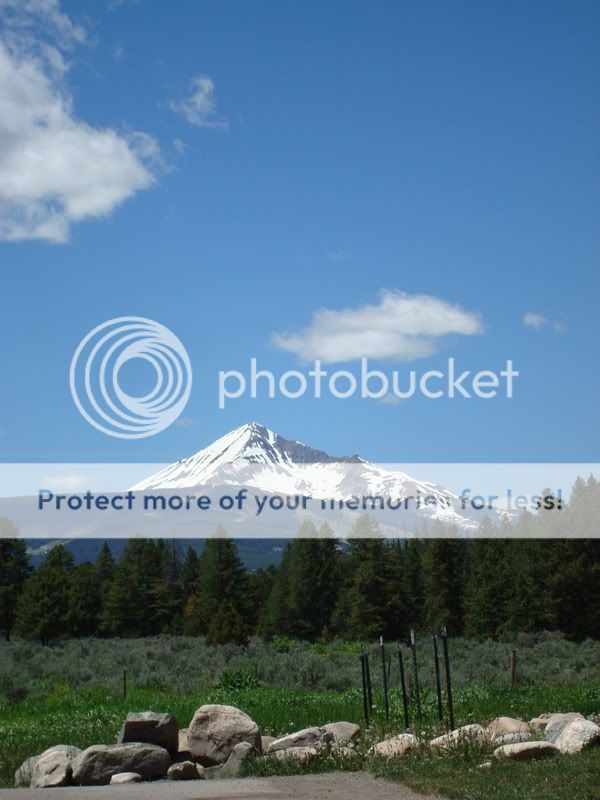 Highlight photos from our 2008 YNP Cruise! | VW Vortex - Volkswagen Forum