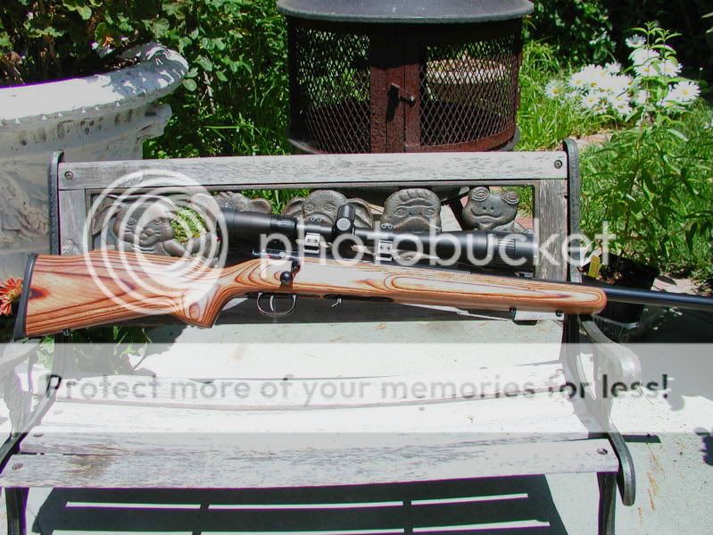 Stock opinions | Rimfire Central Firearm Forum