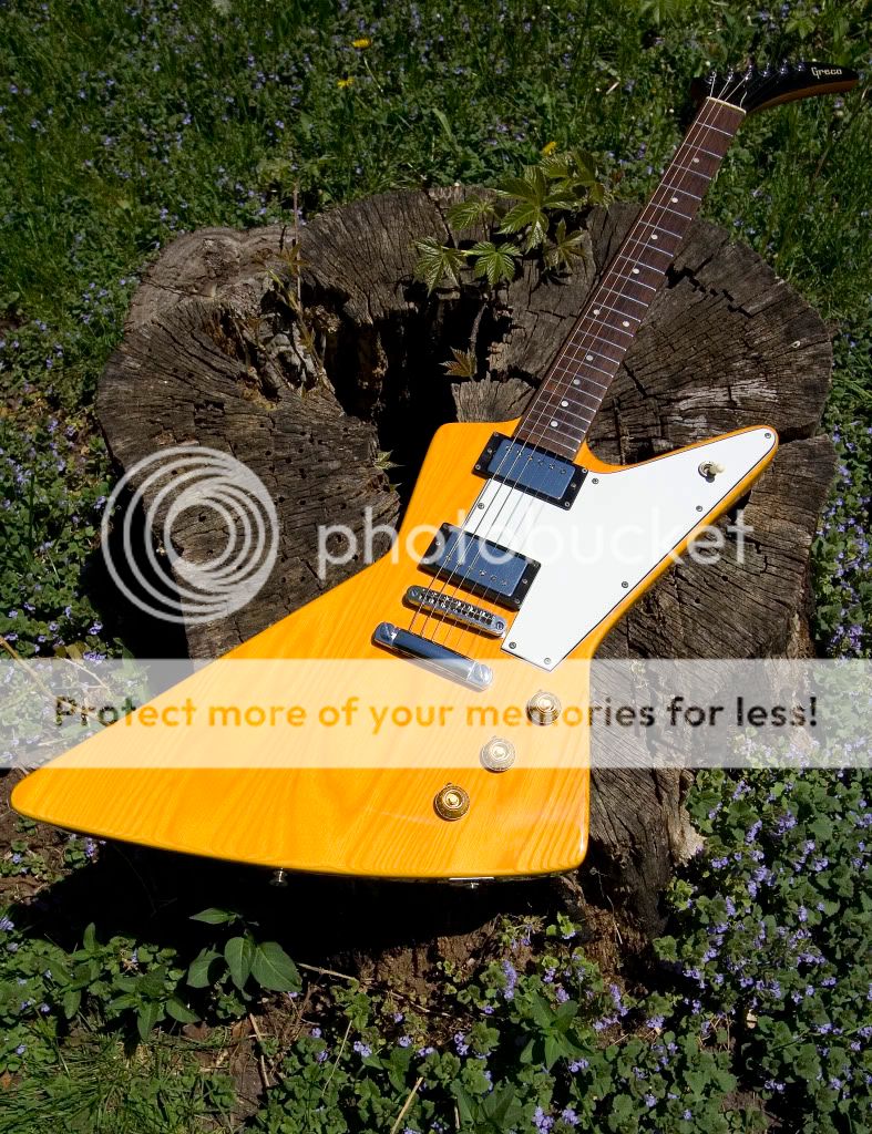 Gibson mahogany Explorer vs. Epiphone Korina Explorer? | Page 2 | The ...