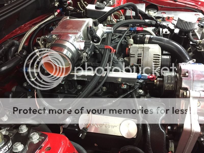 Switching up engine bay setup | SN95Forums The Only SN95 1994-2004 ...
